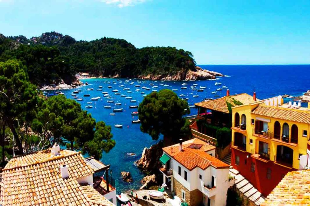 Oleh Oleh Khas Jawa Tengah Terpopuler - Carica Sumbing